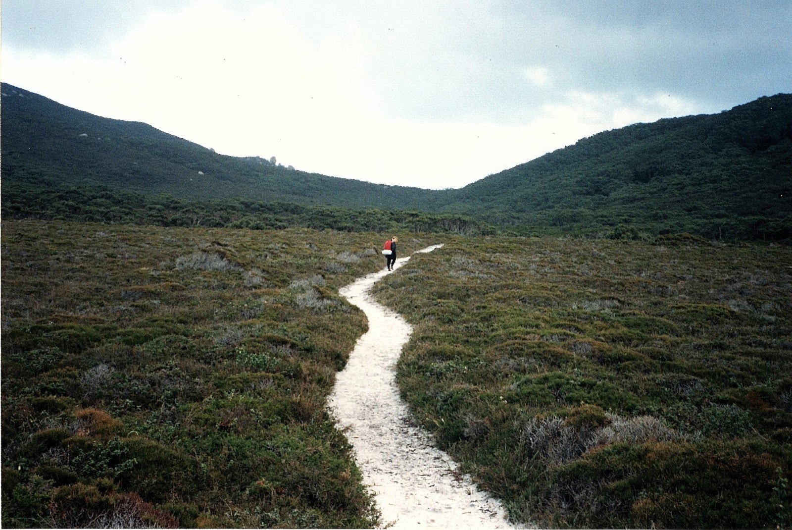 Goin' Feral One Day At A Time: Little Waterloo Bay, Wilsons Promontory ...