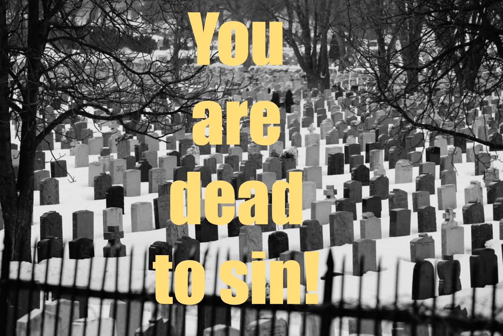 FAITHFUL AND TRUE BIBLICAL REVELATIONS: Jesus Christ is God’s Remedy ...