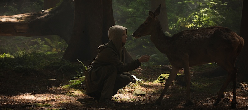 The Reel Roundup | Everything Movies & More: 'Morgan' Blu-ray Review ...