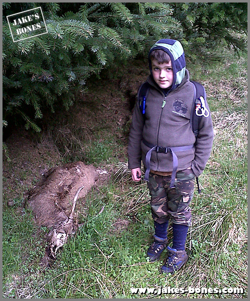 Where can you find animal bones ? : Jake's Bones