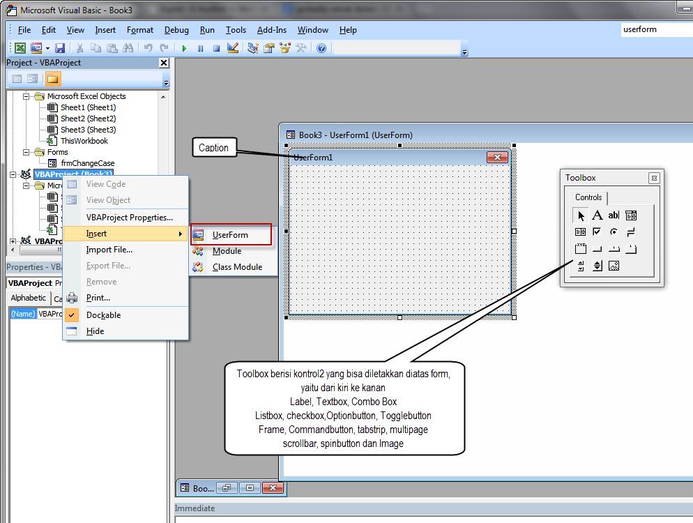 Programming with Microsoft Excel: Userform