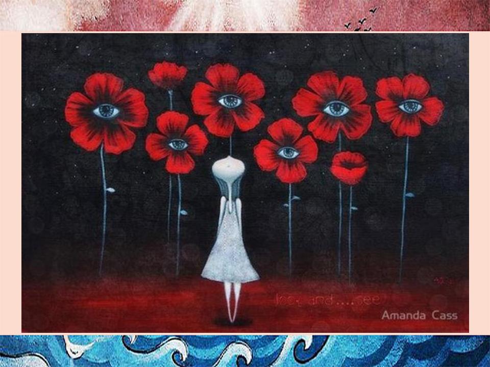 Soloillustratori: Amanda Cass