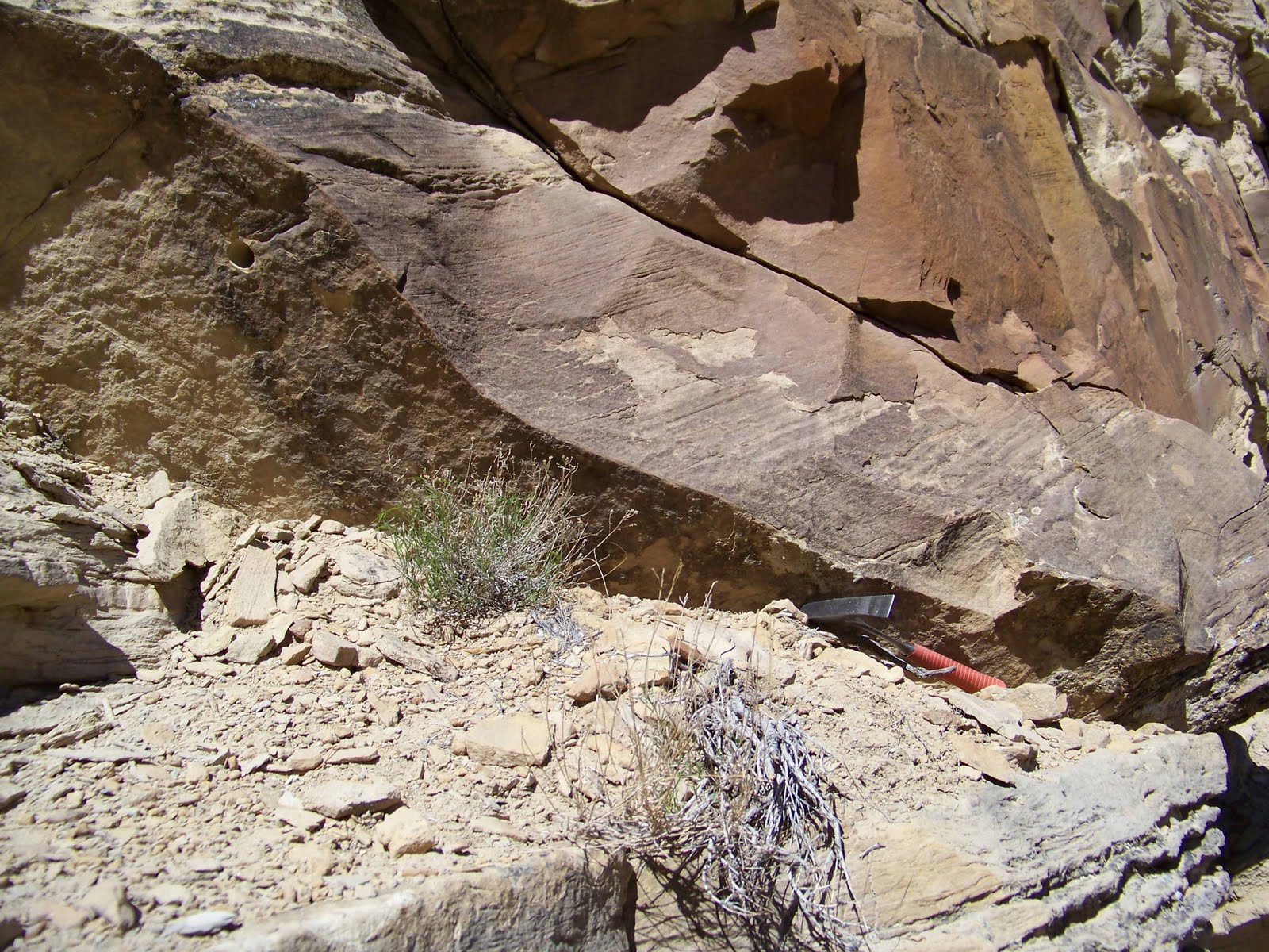The Dynamic Earth: Brittle synsedimentary deformation!