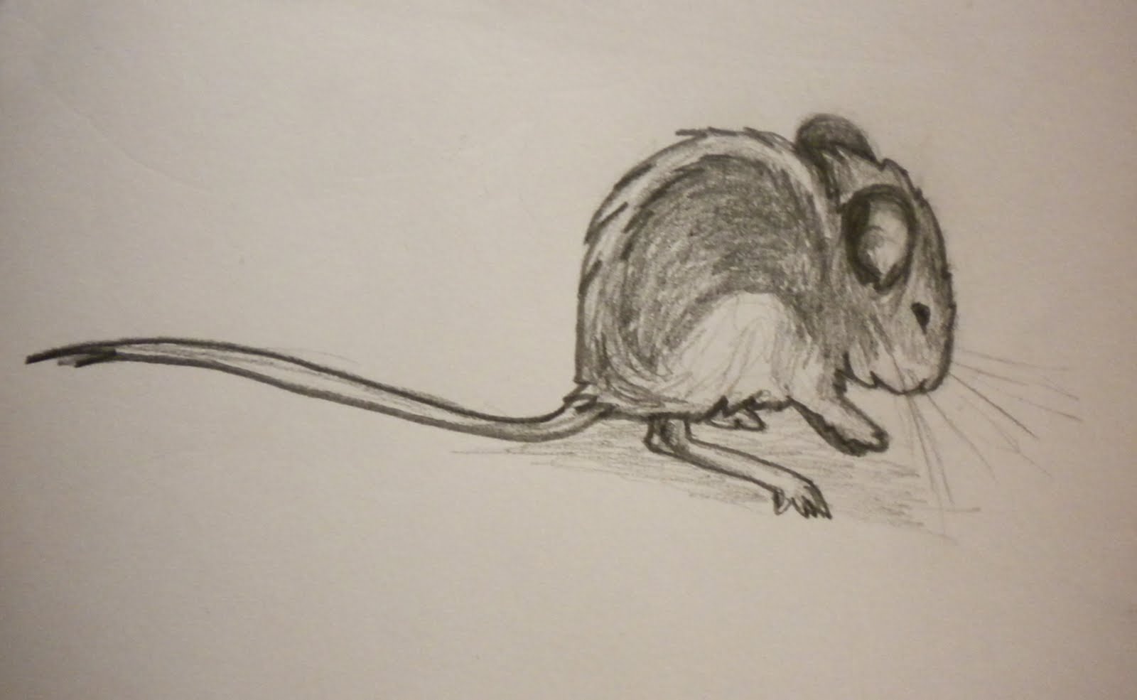 Pointsies: Mouse Doodle