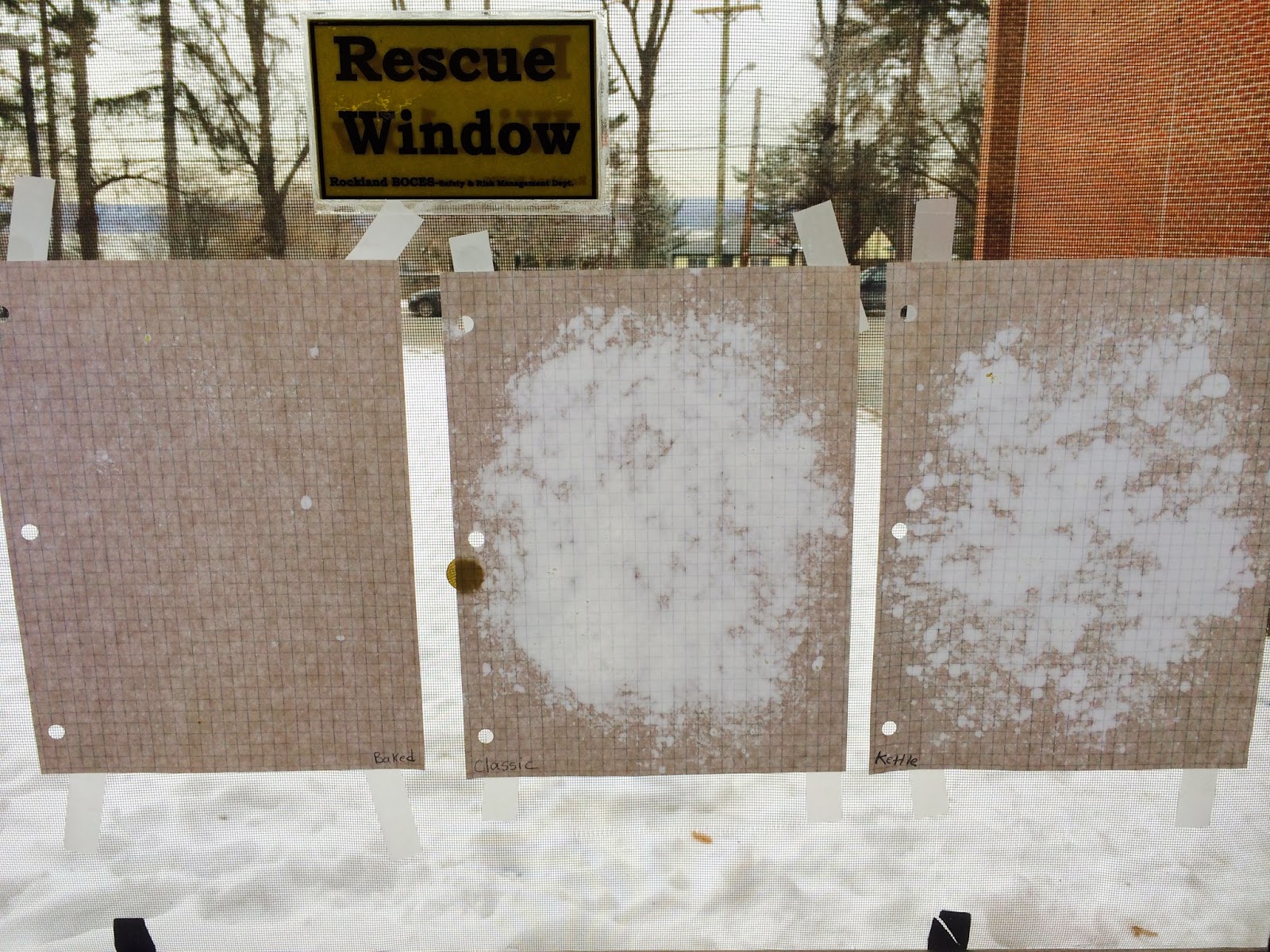 The Teacher's Chair: The Great Potato Chip Challenge