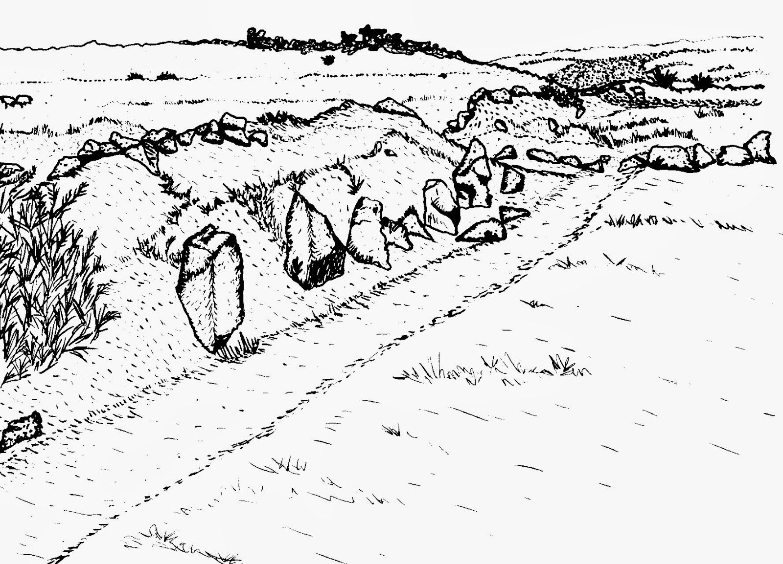 Meavy Valley Archaeology