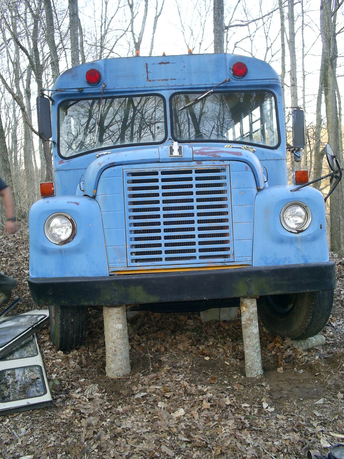 International Blue: HIllbilly Vampire Bus