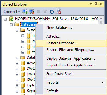 HodentekMSSS: Using a Bacpac file to construct the Wide World Importers ...