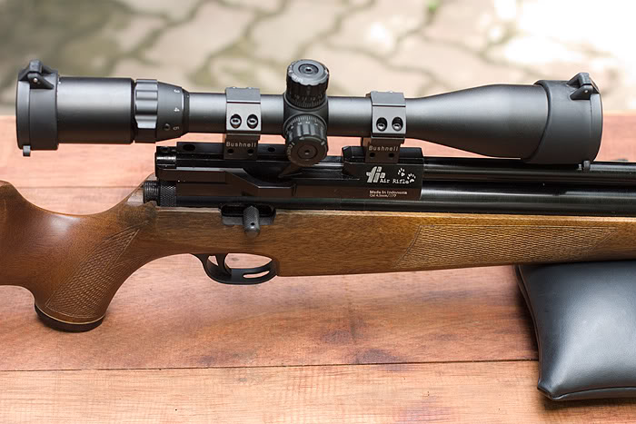 Best Pellet Gun Reviews