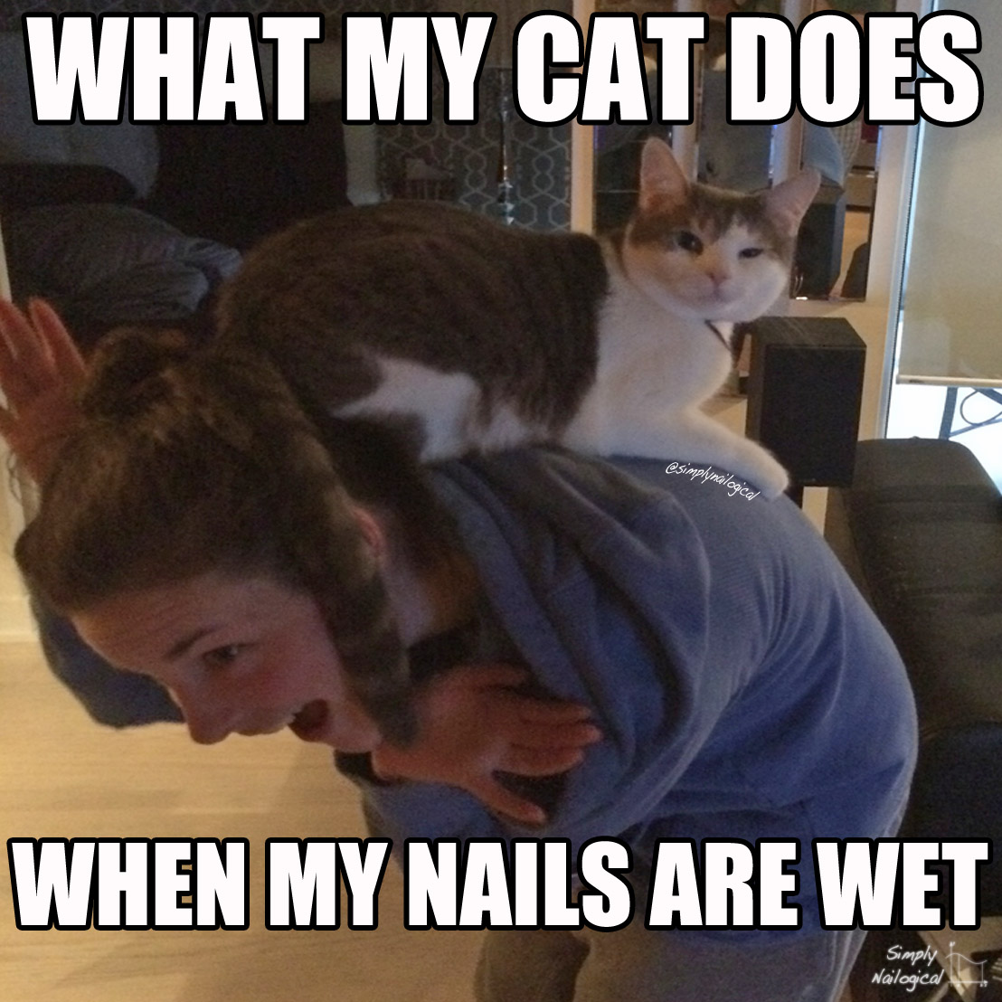 Simply Nailogical: Party Mix