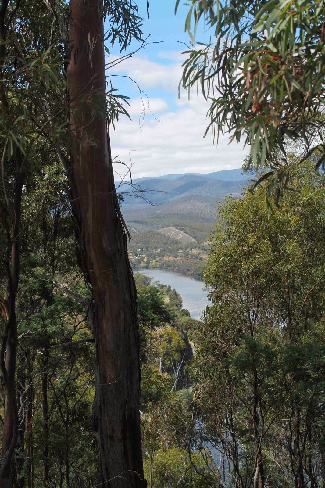 Fieldnotes: Tasmania 2014: A Visit to New Norfolk