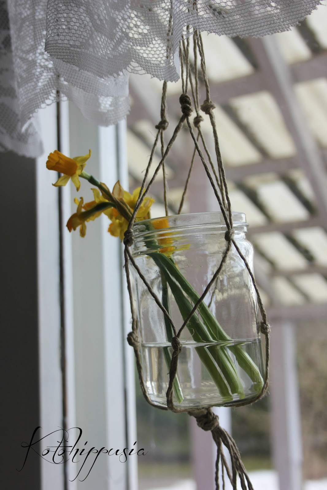 DIY amppeli - Kotohippusia