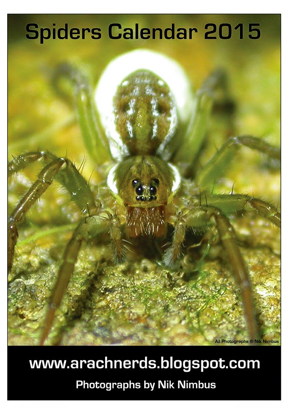 Arachnerds: Spiders Calendar 2015