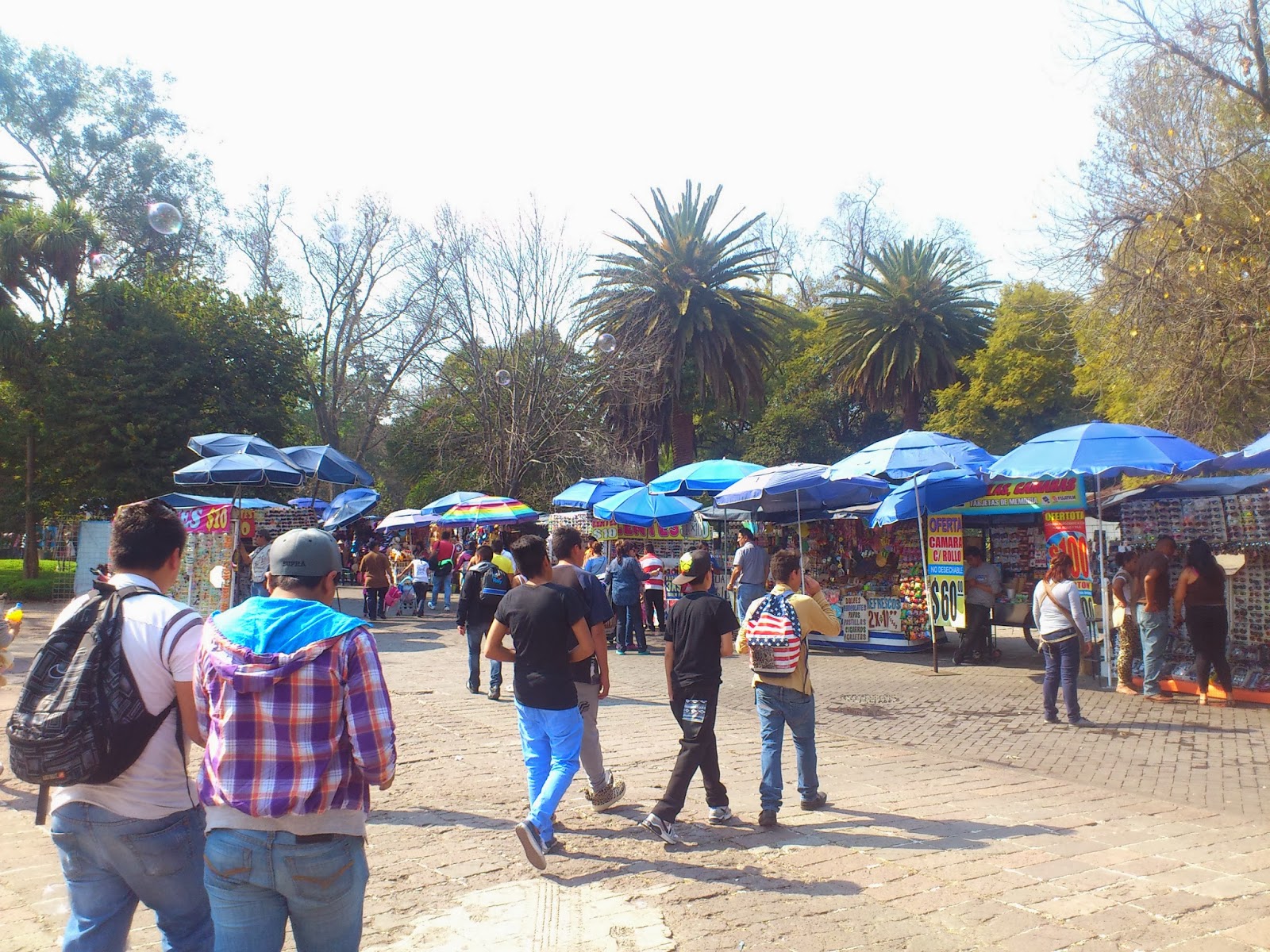 Neli ja pool kuud Mehhikos