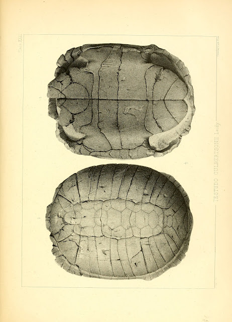 facsimilium: May 2012