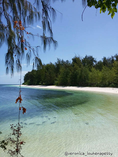 Keanekaragaman Kepulauan Kei / Kei Island: GUGUSAN PULAU NGAV, ER DAN ...