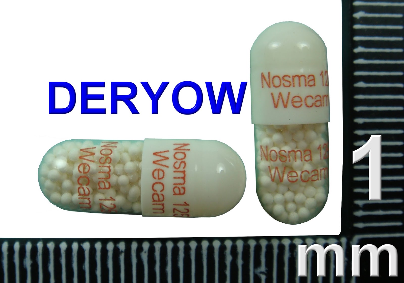 德佑藥局藥袋資訊暨藥品外觀分享: AC455391G0 NOSMA S.R.M. CAP.125mg〝永勝〞 THEOPHYLLINE 漠喘緩 ...