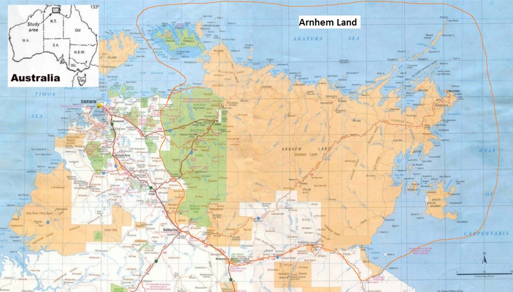 Down Under Wargames - Miniature battles in the Southern Land: September ...