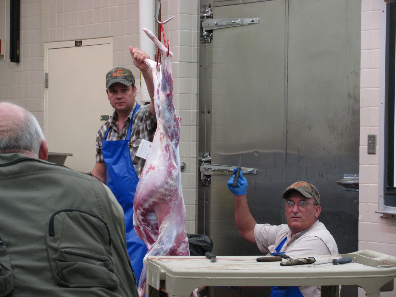 Eating my Deer: From Field To Table: Report on the Wild Game Processing ...