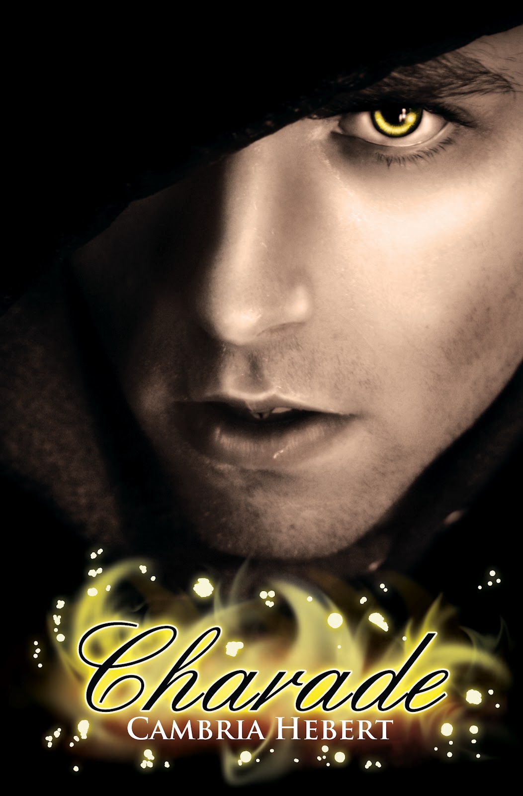 Erin Danzer, YA Author