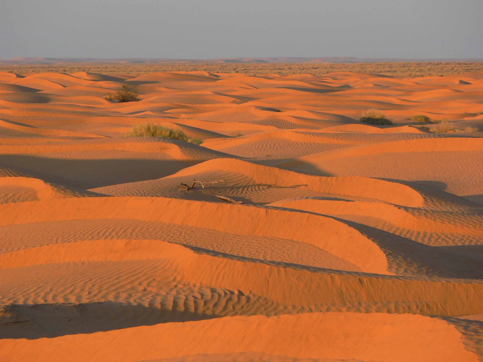 valter: Il Sahara e il Sogno dei Tre Deserti
