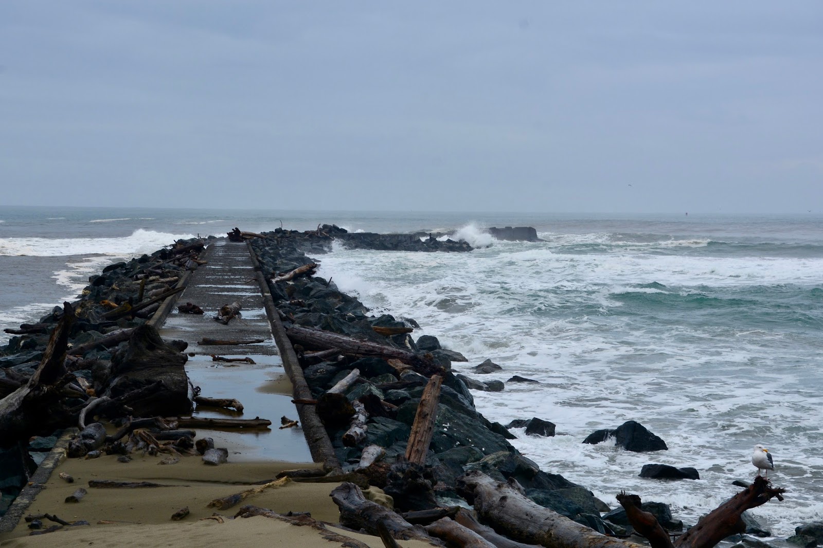 venturing4th: Haul-out at Simpson Reef