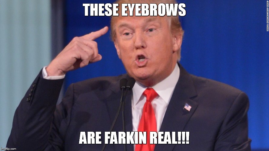 Share This Photo: Funny Donald Trump