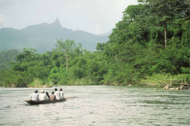 Guía Túristica de Honduras: RESERVA BIOLÓGICA TAWAHKA