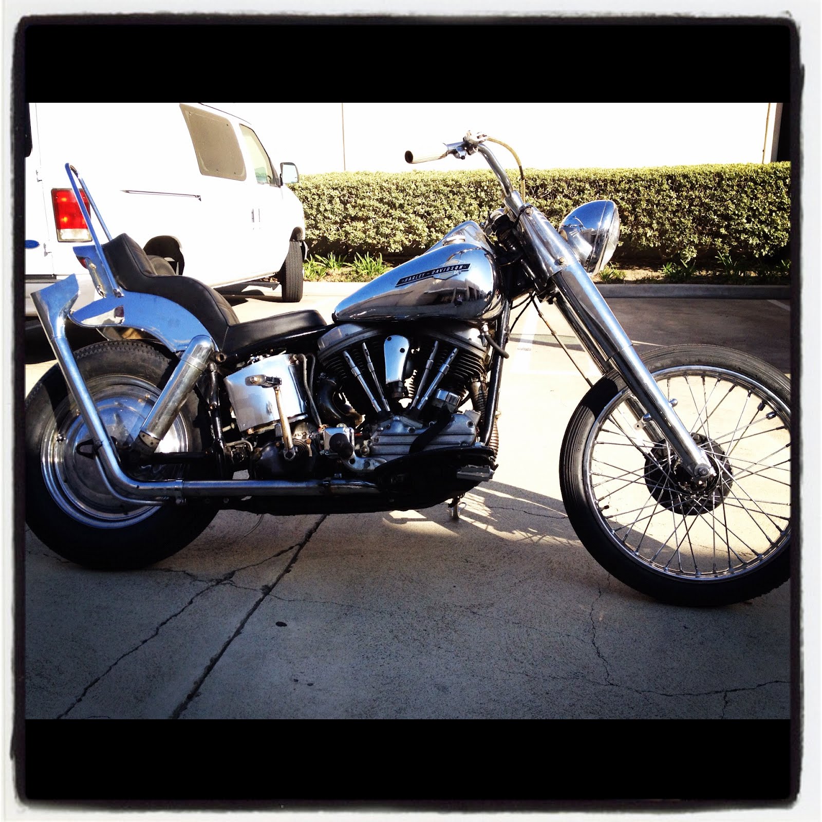 the pterodactyls: 58 panhead