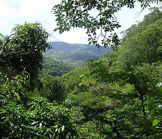 Ciudades del Ecuador: REGION COSTA; Santo Domingo