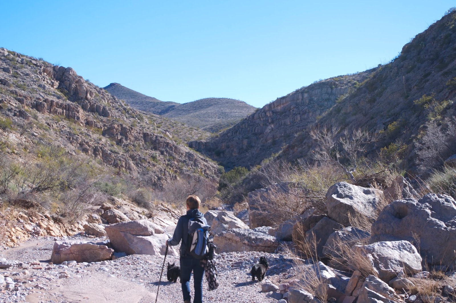 Southern New Mexico Explorer: Green Canyon Box- Caballo Mountains
