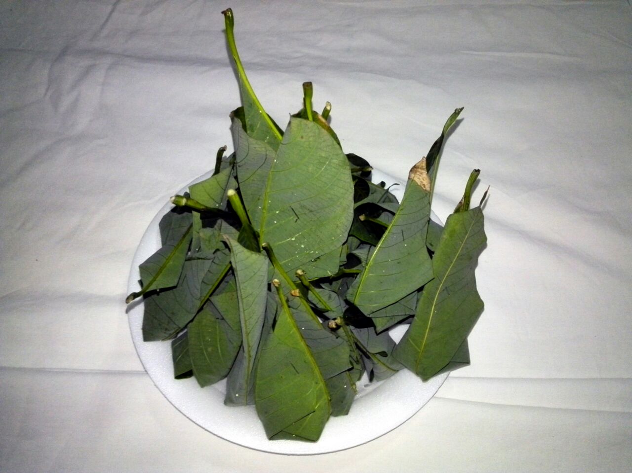 The Sukrich Company: Proses penapaian/fermentasi tapai pulut daun getah