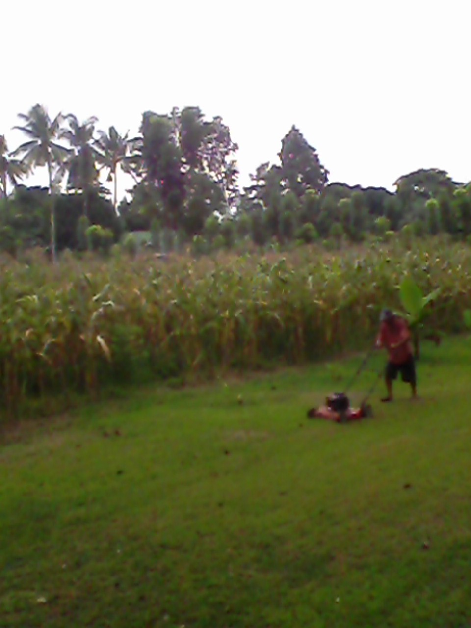 Pretty Simple Talamban: Tourists Spots