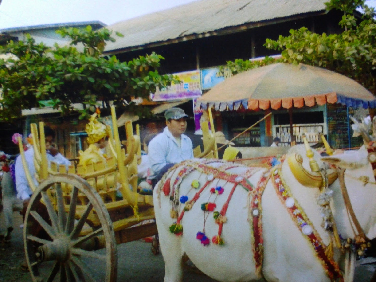 HWH ဥံဳ For Users Voice: ေကာလင္းျမိဳ႕တြင္ ရွင္ျပဳနားသ အလွဴ မဂၤလာ ...