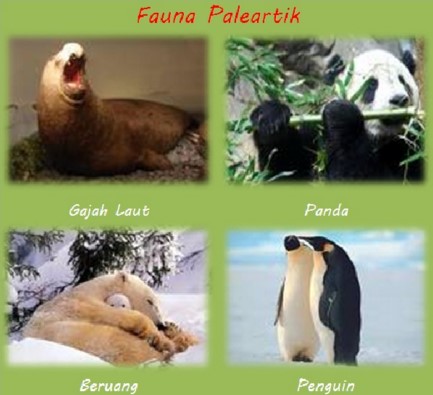 PERSEBARAN FAUNA DI DUNIA