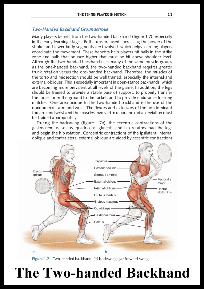 TIMELESS TENNIS: Tennis Book & Topic of the Day: Tennis Anatomy