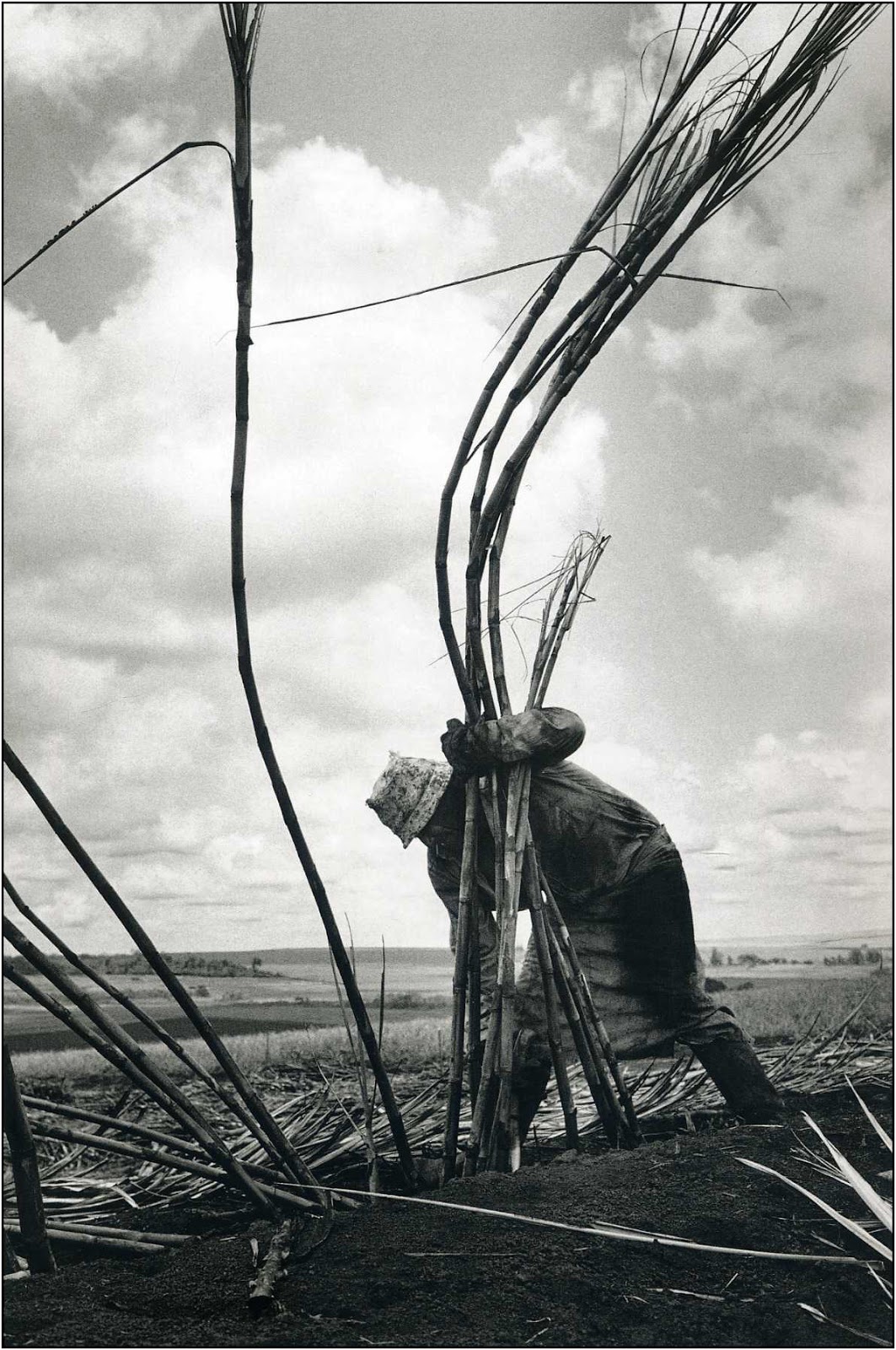 Η Φωτογραφία: Sebastiao Salgado