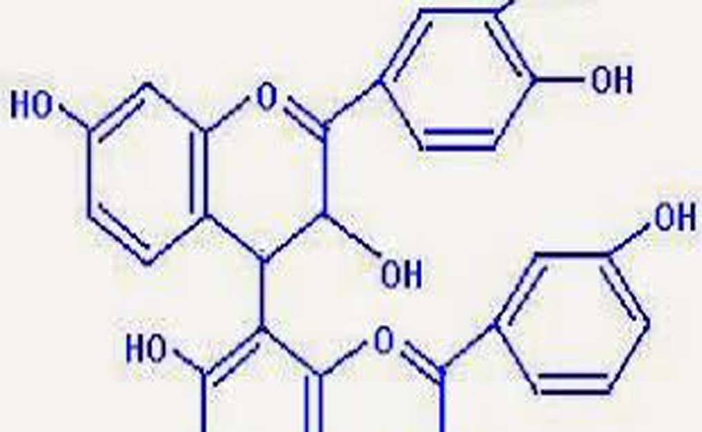 Senyawa Alami dan Manfaat Tanin - Garda Remaja