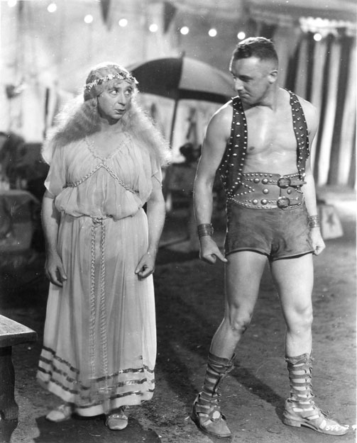 L'arbre aux questions: Mâle dominant