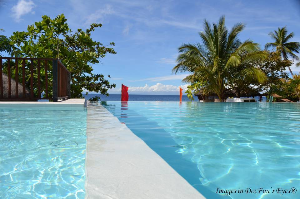 DocFun - d Dr. of Fun & Adventure - Bucketeering at its Finest!: PALM ...