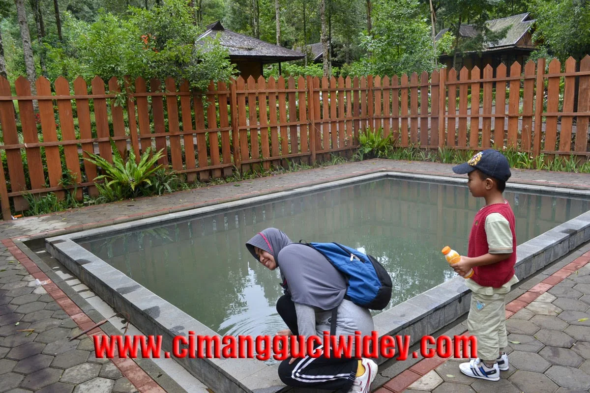 Cimanggu Cottage Pinus ~ WISATA | TIKET | CATTAGE VILLA PENGINAPAN ...