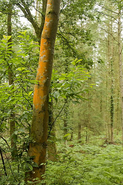 Photographing my travels: Doniford Farm Park and Forest of Dean