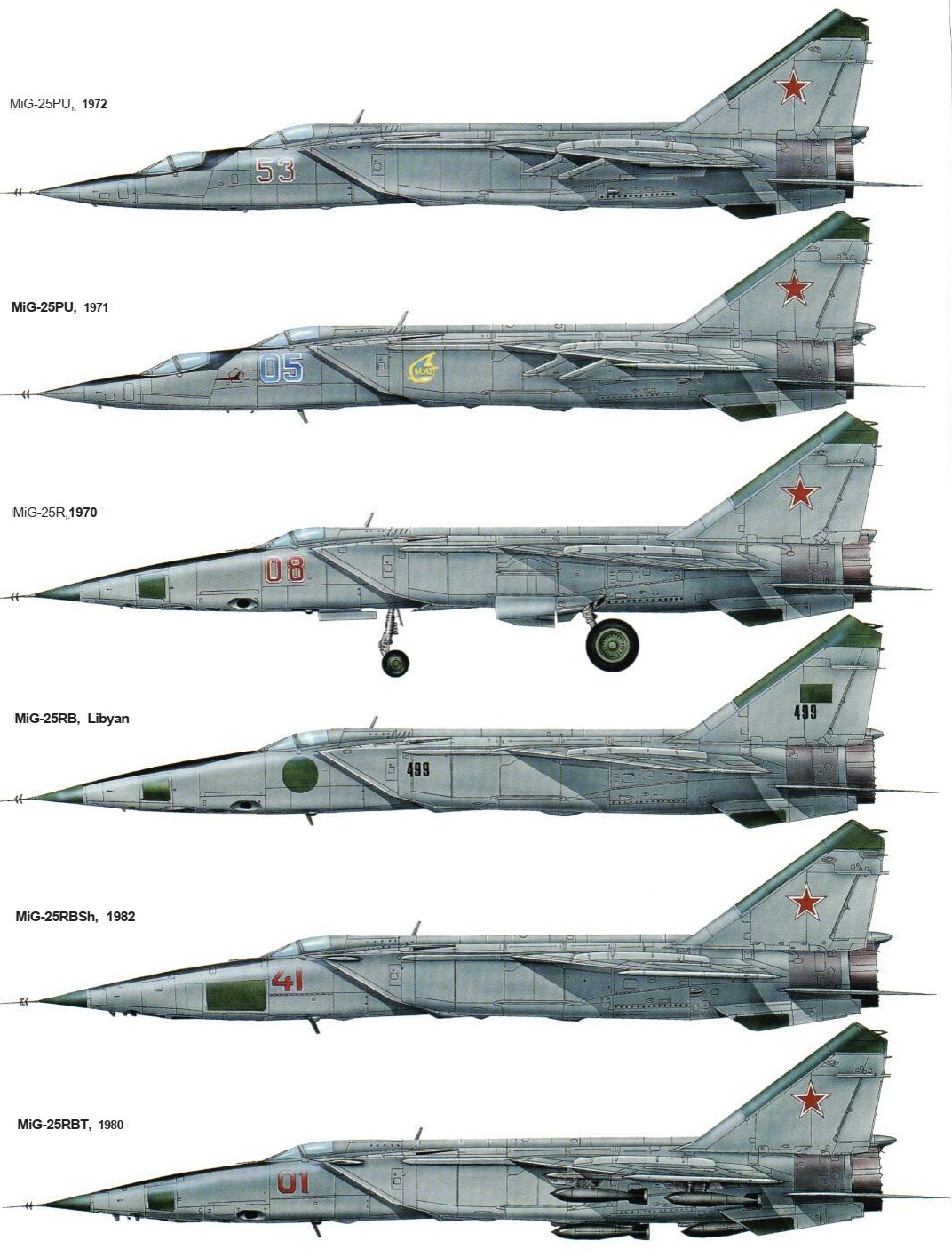 Blog de las Fuerzas de Defensa de la República Argentina: El magnífico ...