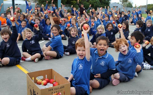 ElephaNZa: Spice of Life