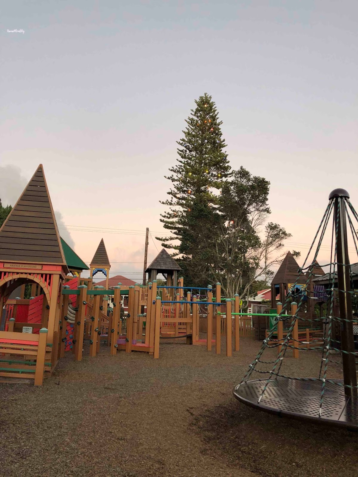 Hawaii Mom Blog: Visit Waimea: Anuenue Playground