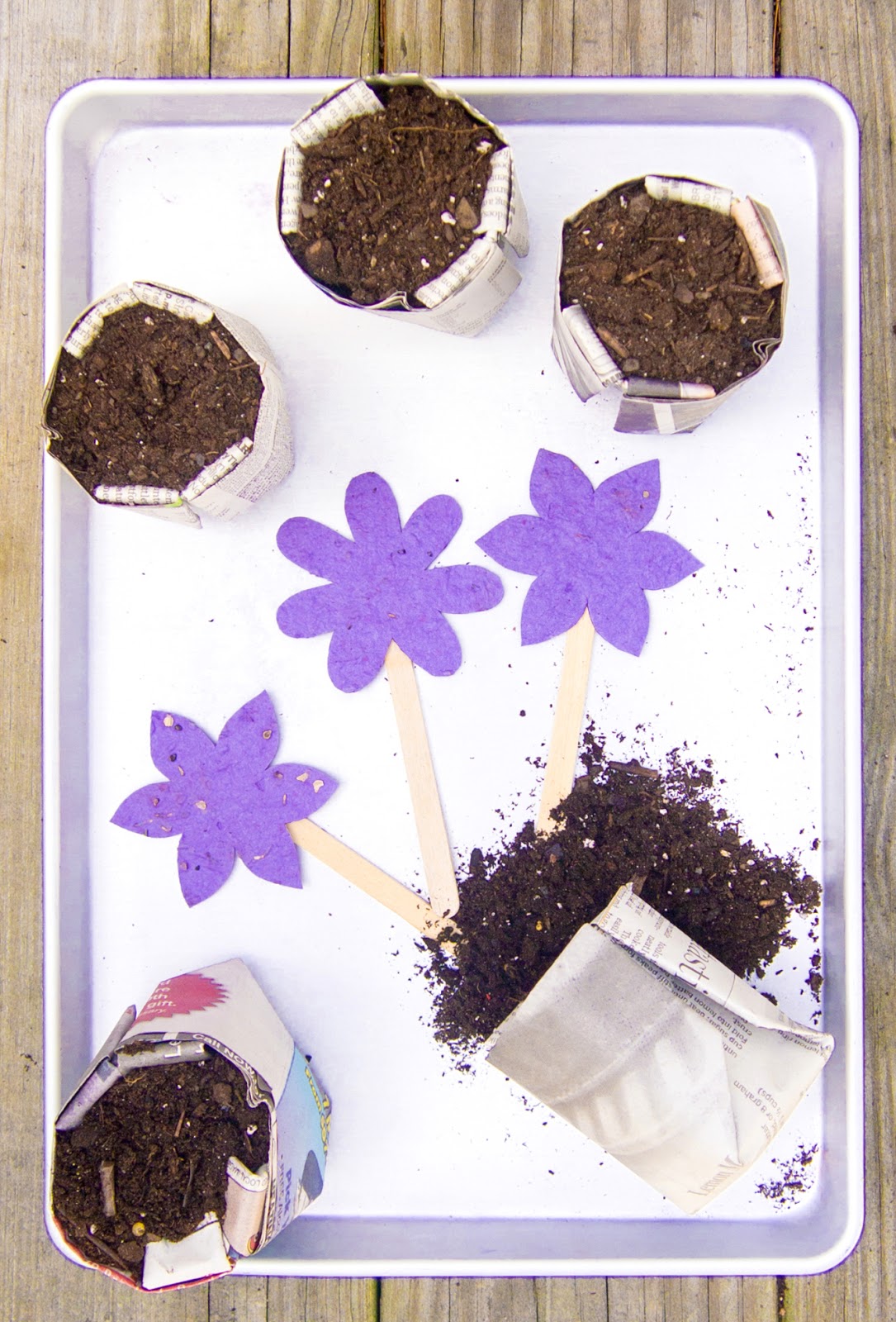 The Tiny Funnel Springtime Seed Paper Flowers The Tiny Funnel Springtime Seed Paper Flowers