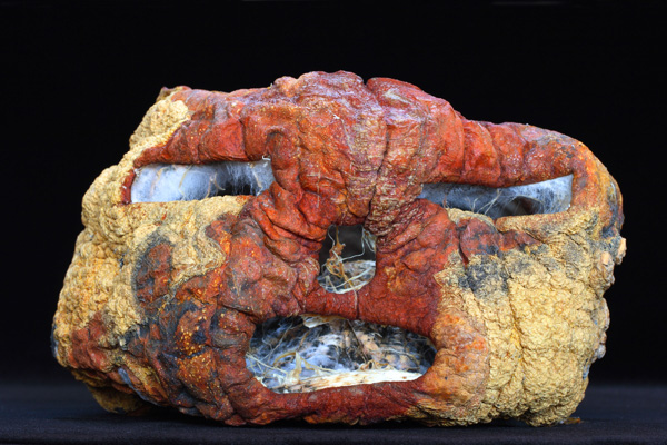 Fly Fishing In Yellowstone National Park: It's A Seasonal Thing