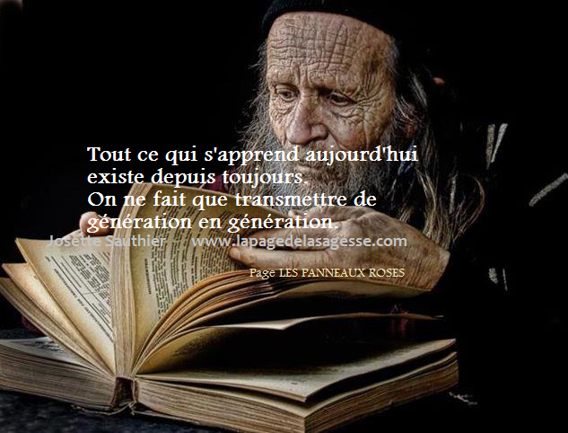 Les Panneaux Roses De Josette Sauthier Citation Sur Lintelligence