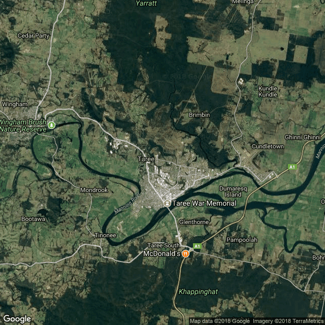 Taree Map Free Download