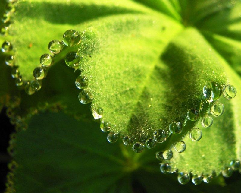 27 Beautiful Close-up Photography | ALL PHOTOZ